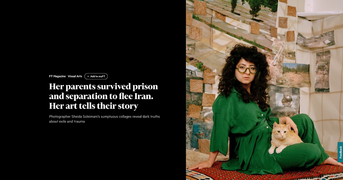 PRESS | Sheida Soleimani | Harlan Levey Projects