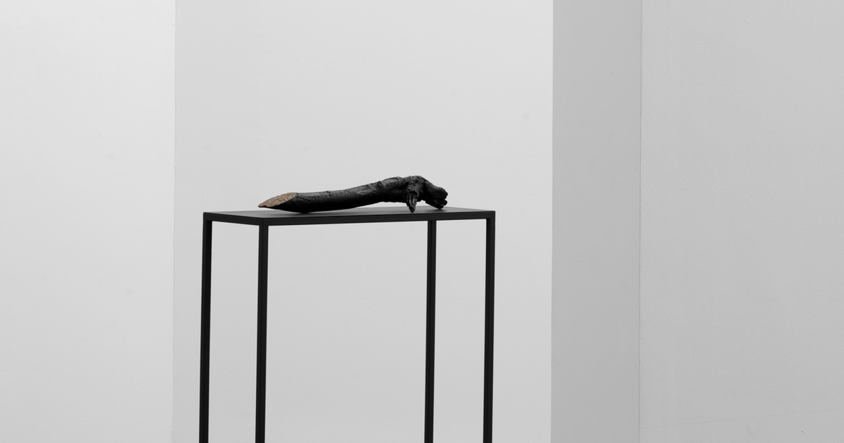 INSTITUTIONAL EXHIBITION | Ella Littwitz | Harlan Levey Projects